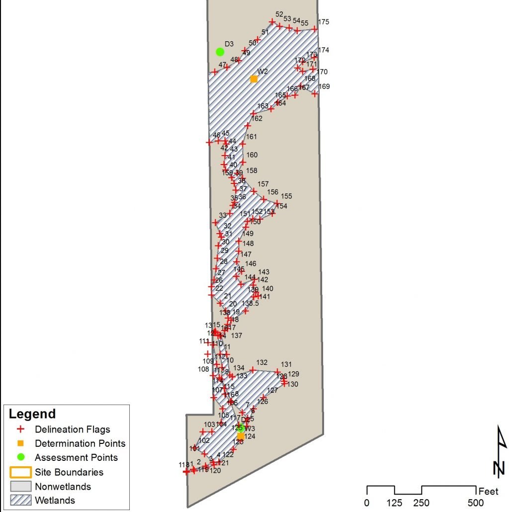 Wetland Delineation | Cypress Environment & Infrastructure