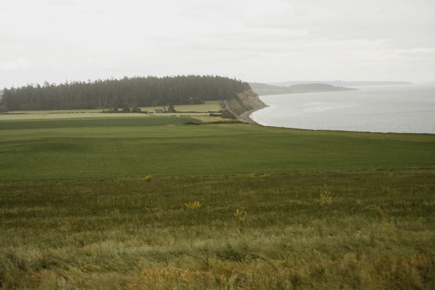 What Is Mitigation Banking? - Benefits And Practices