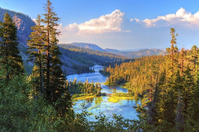 Types Of Environmental Permits: From Application To Approval