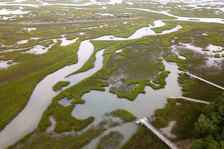 Wetland Mitigation Banking Pros And Cons: A Closer Look