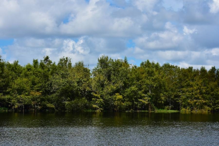 What Is Mitigation Banking? - Benefits And Practices