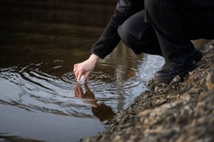 What Is Environmental Remediation? - Strategies And Impact