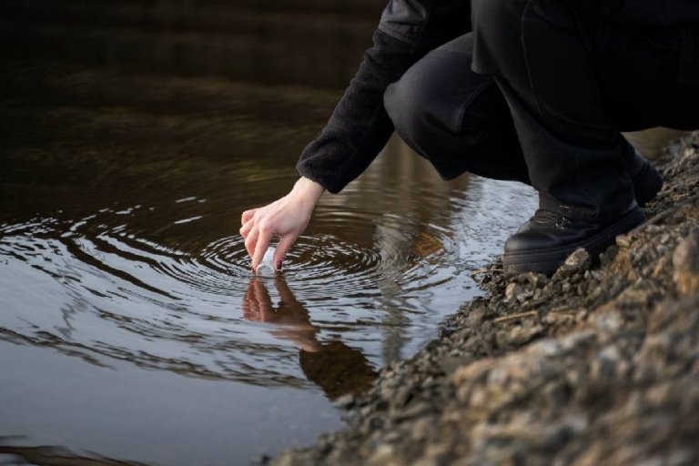 What Is Environmental Remediation? - Strategies and Impact