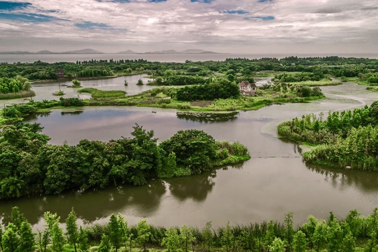 Why Are Watersheds Important? - Nature's Filters