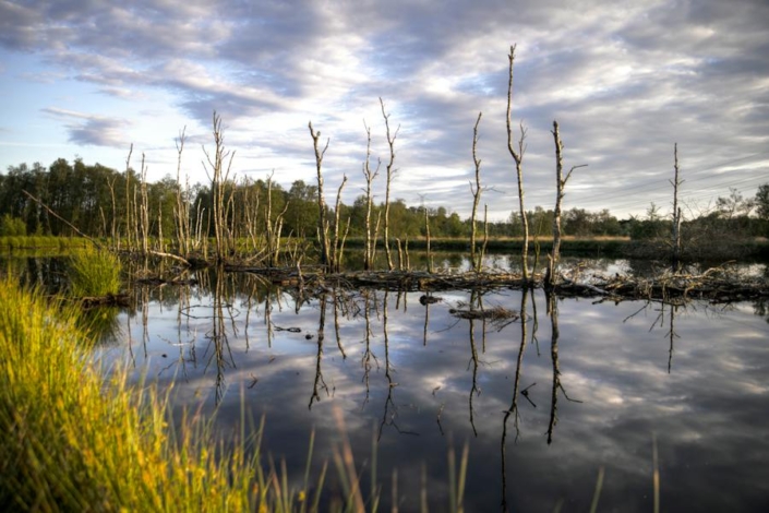 What Is a 404 Permit? - Wetland Regulations Made Simple
