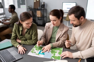 What Is Environmental Management? - Principles & Strategies